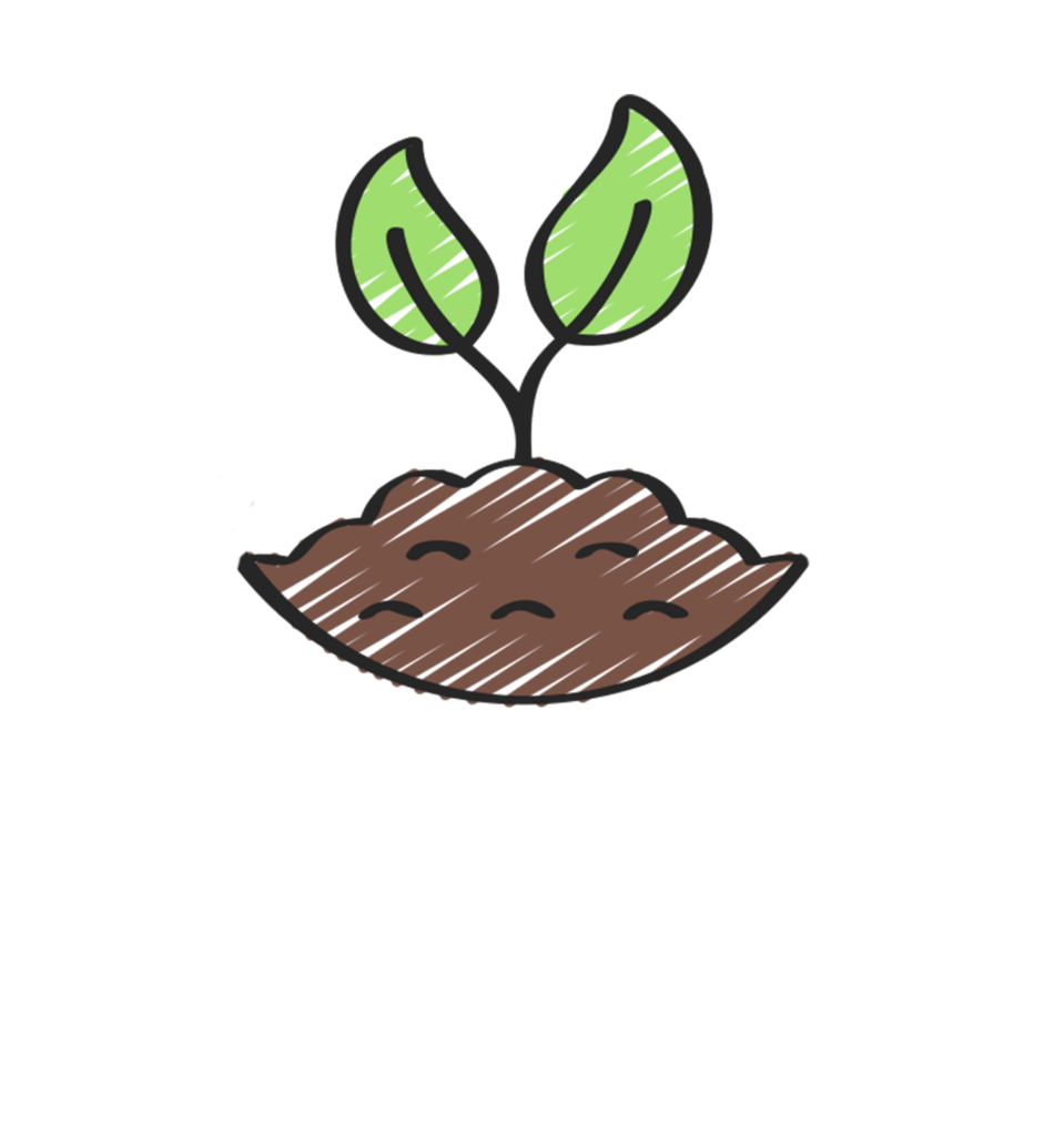 Arhive cadouri gradinita - Hârtie plantabilă